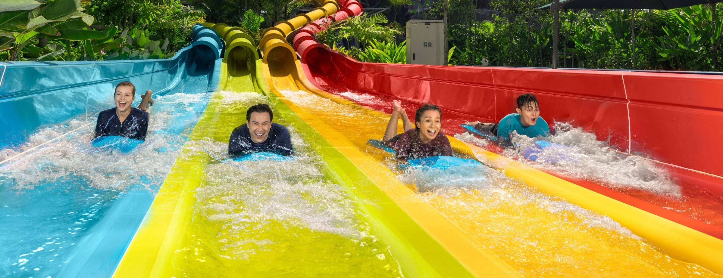 SplashMania | Case Study | Avius